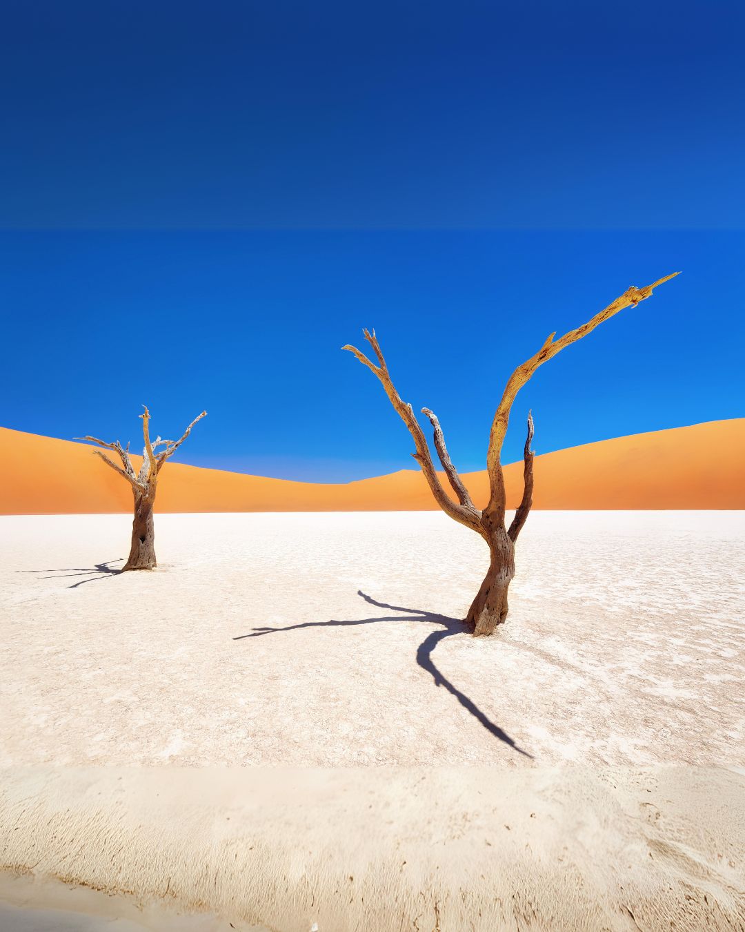 Namibia Road Trip Guide 2025 | Costs, Routes & 4x4 Tips