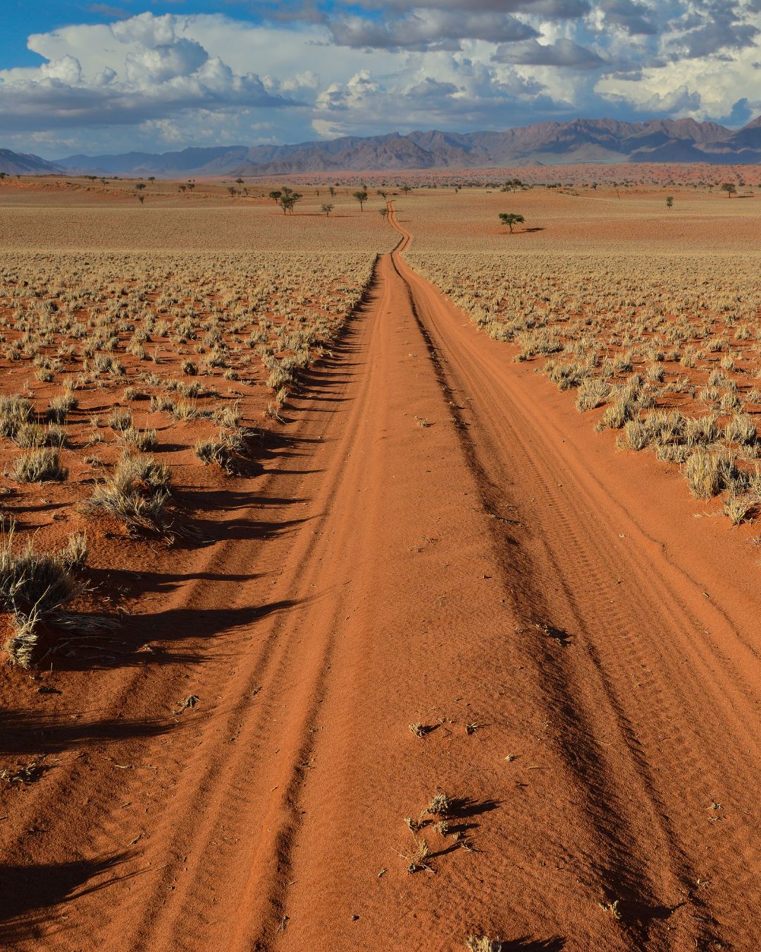 Namibia Road Trip Guide 2025 | Costs, Routes & 4x4 Tips